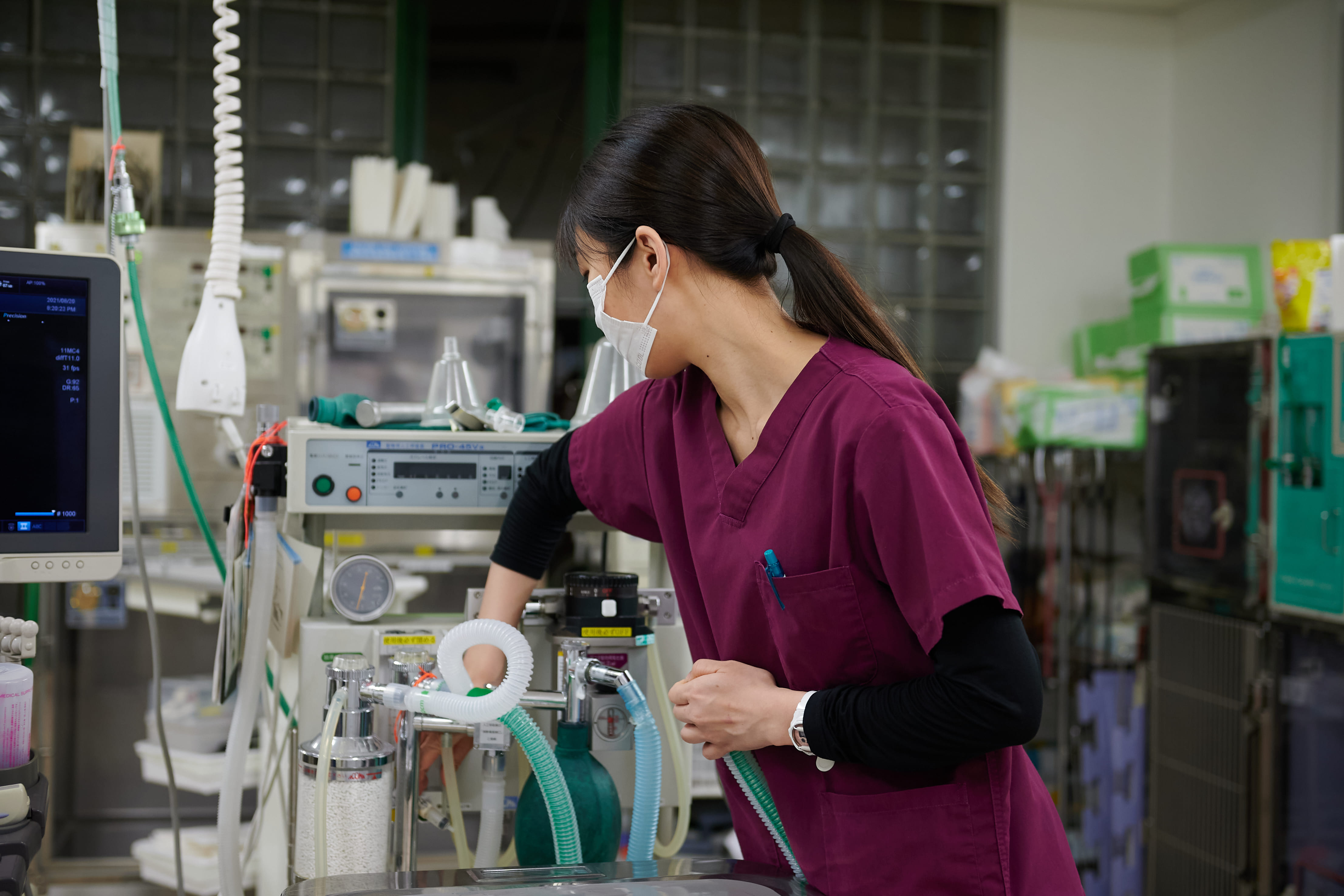 先輩インタビュー | TRVA動物医療センター